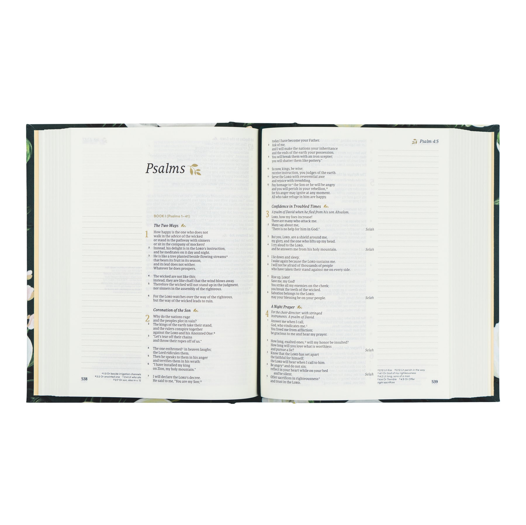 CSB Notetaking Bible: Augusta Theme – More Than Wildflowers